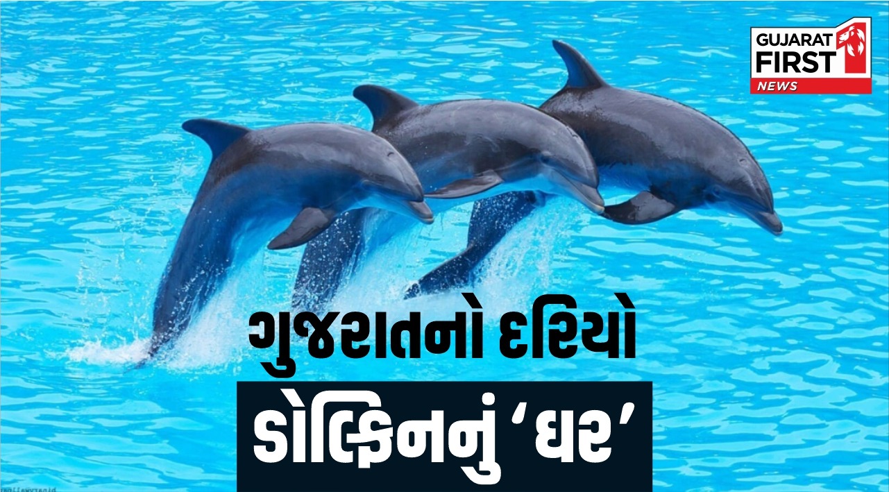 Dolphin : ગુજરાતનો દરિયો ડોલ્ફિનનું ‘ઘર’ - Gujarat First