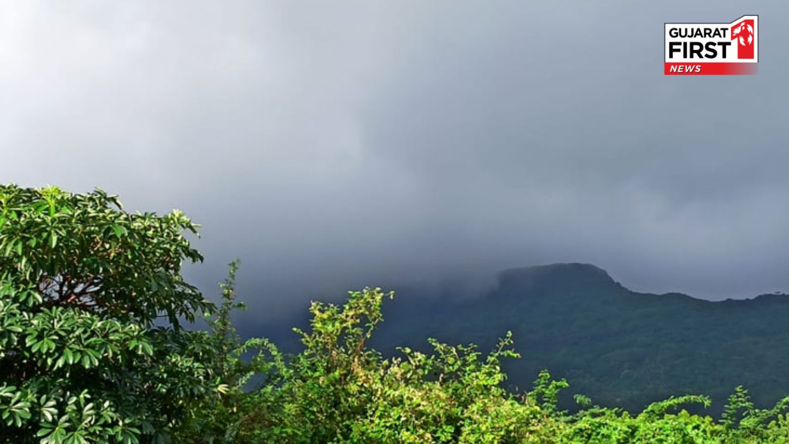 Gujarat Rain : 24 કલાકમાં 129 તાલુકામાં ધોધમાર વરસાદ - Gujarat First