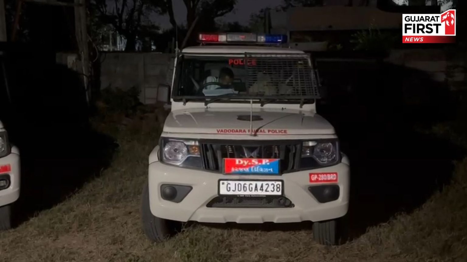 Vadodara Firing: પ્રેમ પ્રકરણમાં ભાજપ અગ્રણીના ફાર્મ હાઉસ પર ફાયરિંગ ...