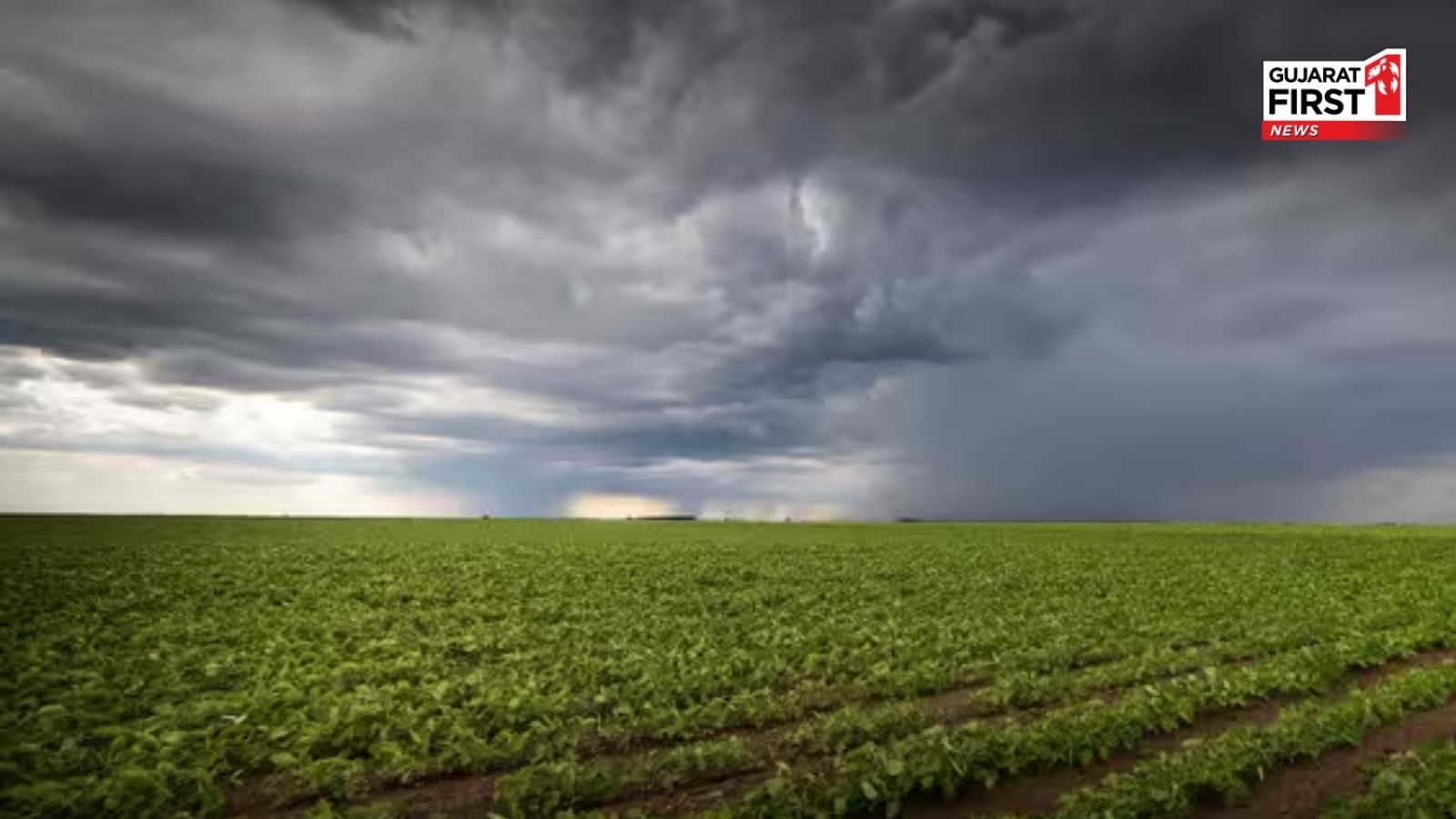 Rain forecast: આજે ક્યાં ક્યાં પડશે વરસાદ?... - Gujarat First